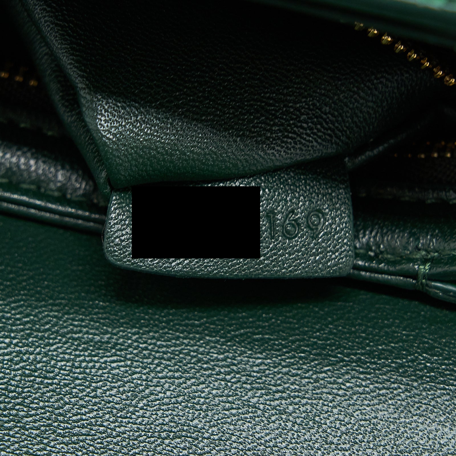 Celine Triomphe Bag Water Snake Leather Green GHW Celine Triomphe Bag Water Snake Leather Green GHW